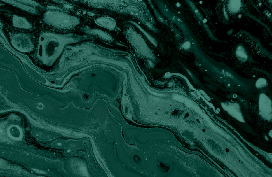 We're Re-vita®! Liquid Spirulina-based supplements for a healthy life